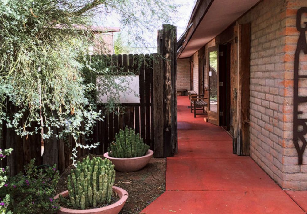 Hidden Gems: Discover Joan Waters at Cattle Track Arts & Preservation